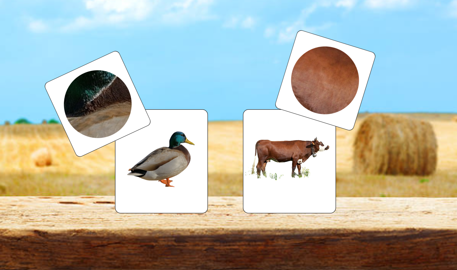 Cartes et détails associés des animaux de la ferme🐄🔍 - Mille Ressources ...